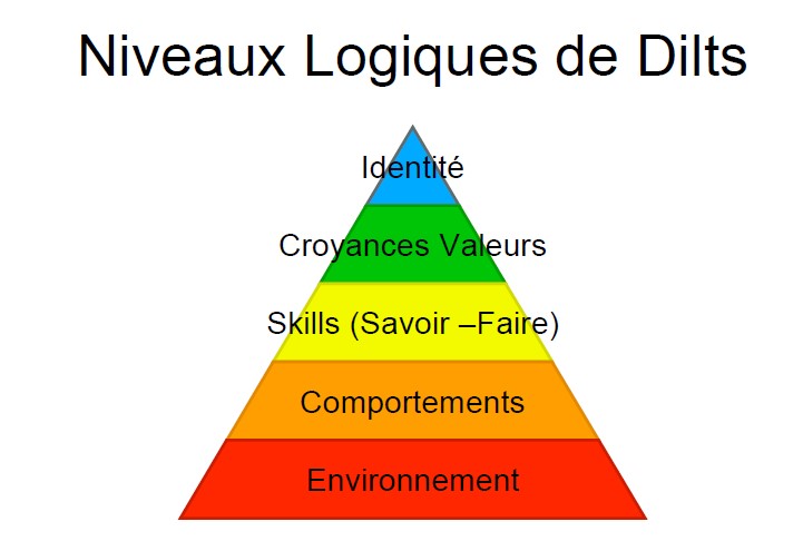 Formation Niveaux logiques de Dilts pour coachs, formateurs,